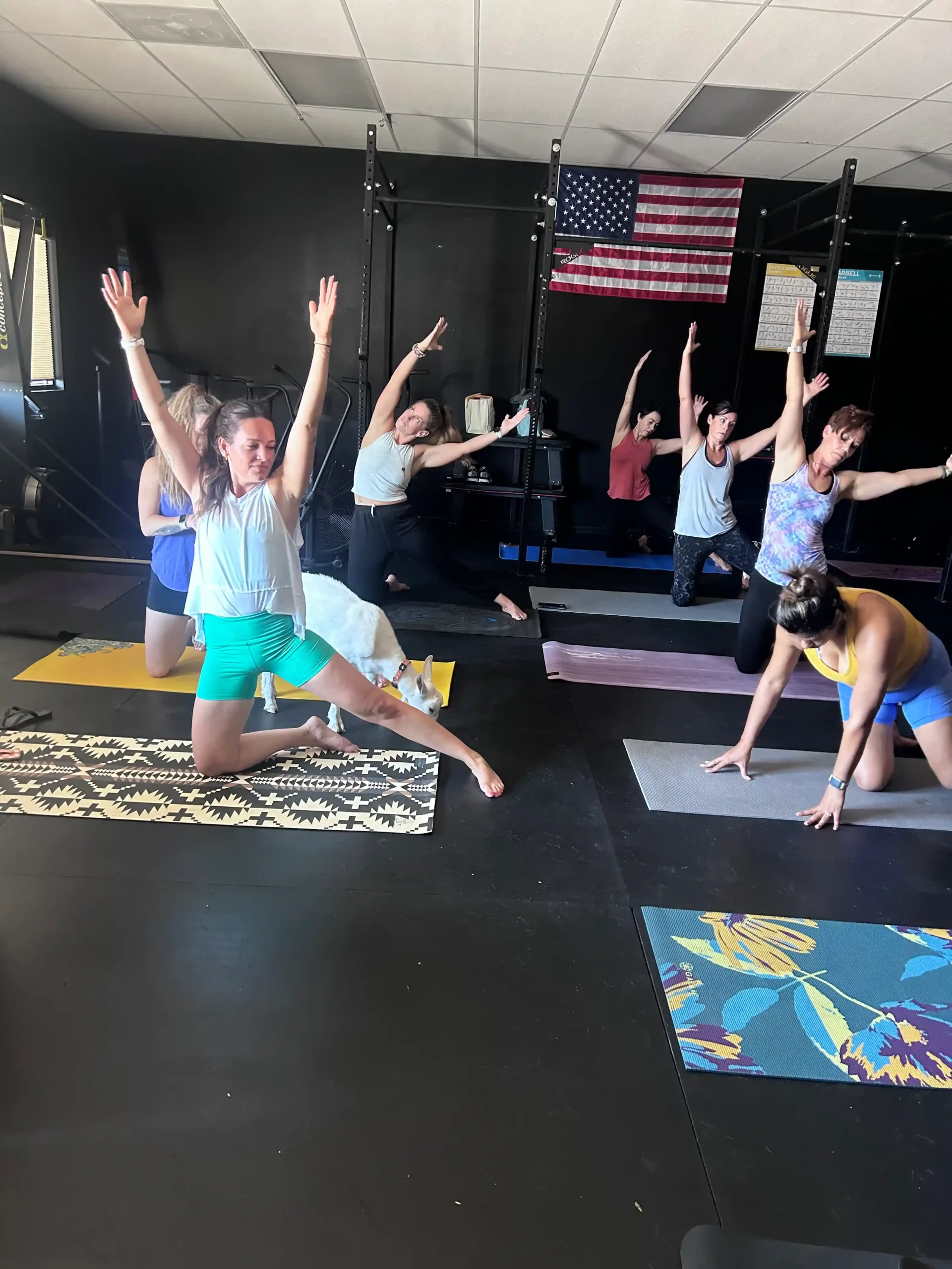 About Knockout Lifestyle – Mind & Body Fitness That Transforms